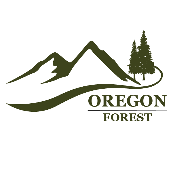 Oregon Forest 奧勒岡森林