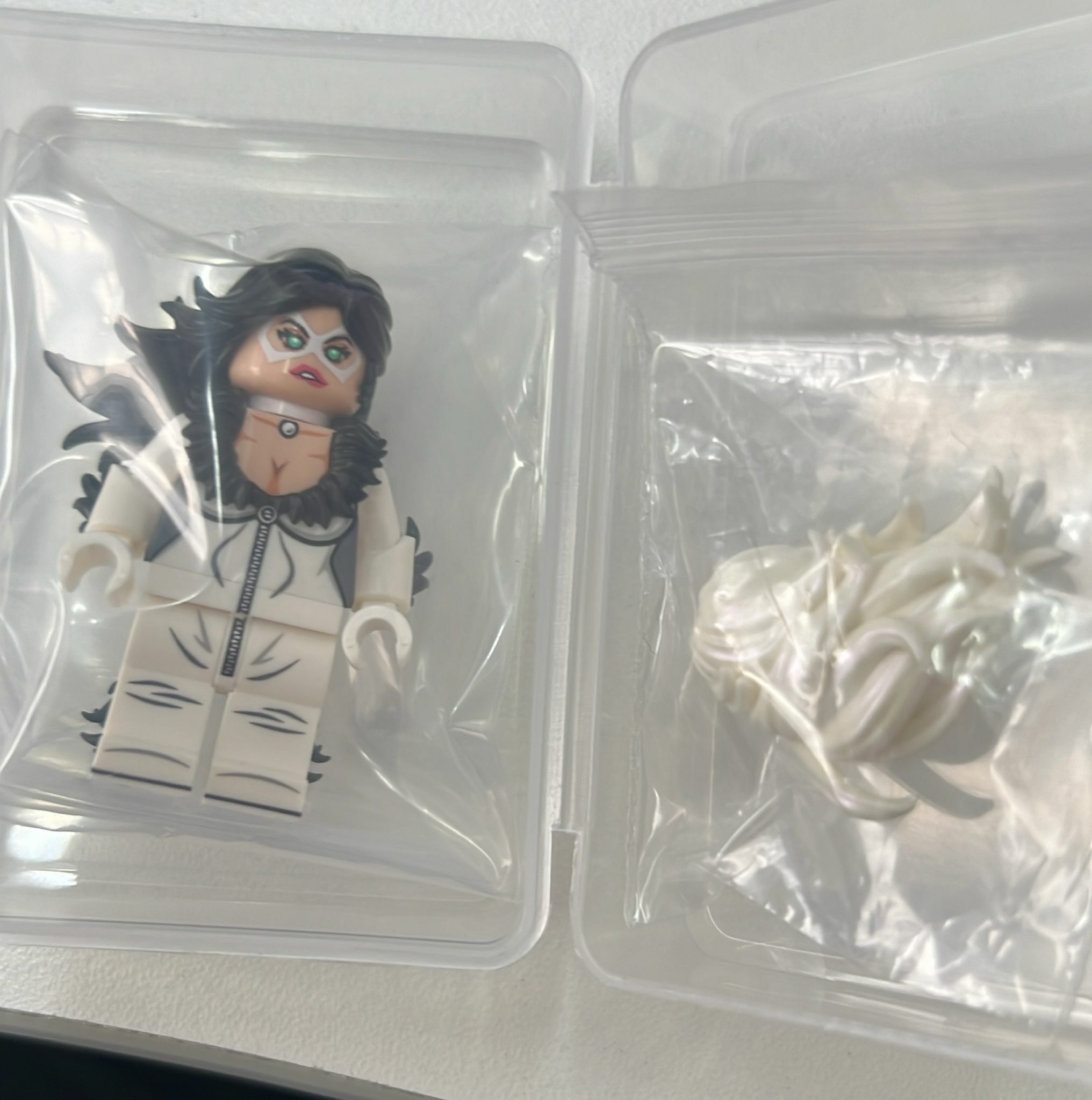 【預訂】【Mr J Brick】黑貓