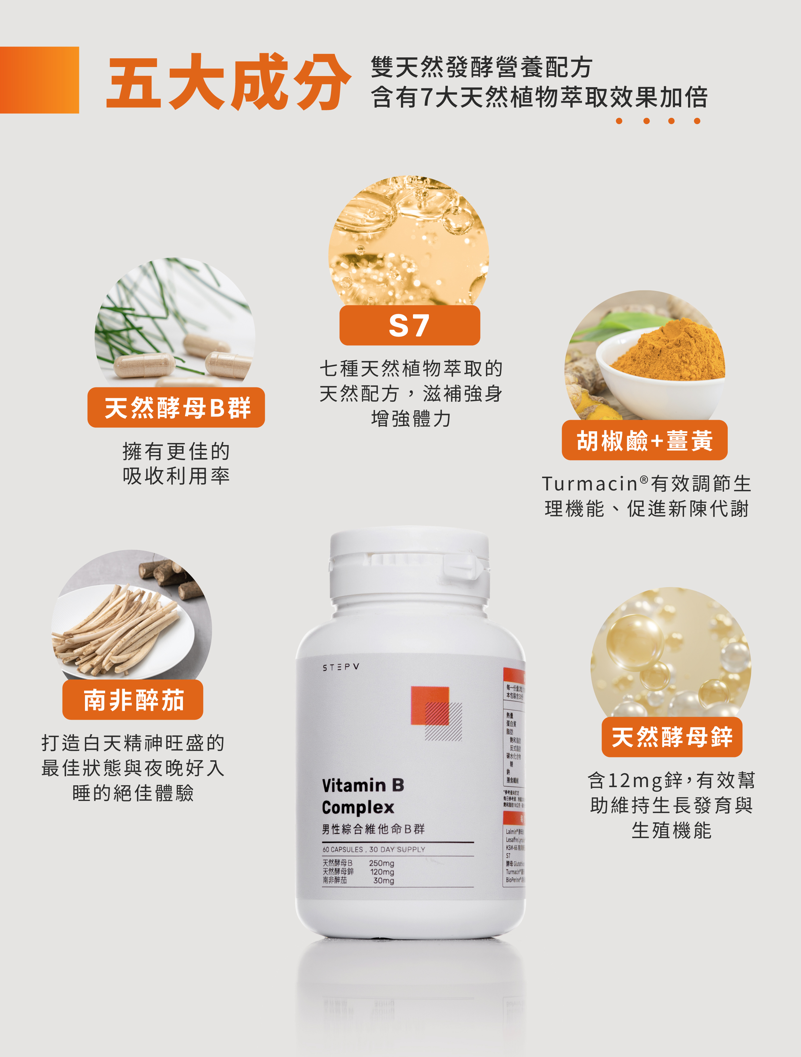 男性綜合維他命B群｜STEPV 專業補給站