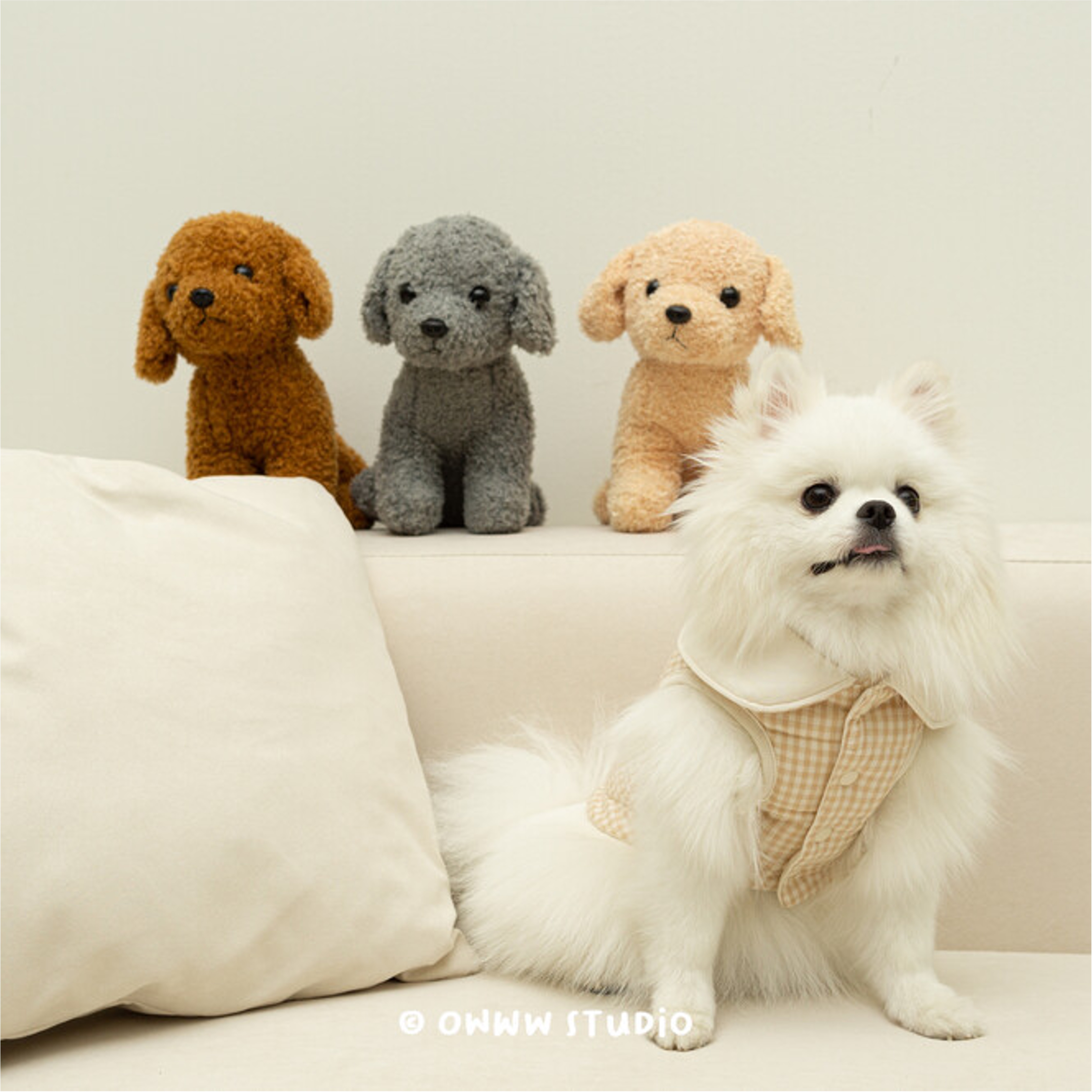 OWWW Studio x Blueberry 聯名有機棉鋪棉夾克