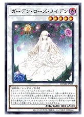 QCDB-JP036 (SR/SER/QSER)花園薔薇少女