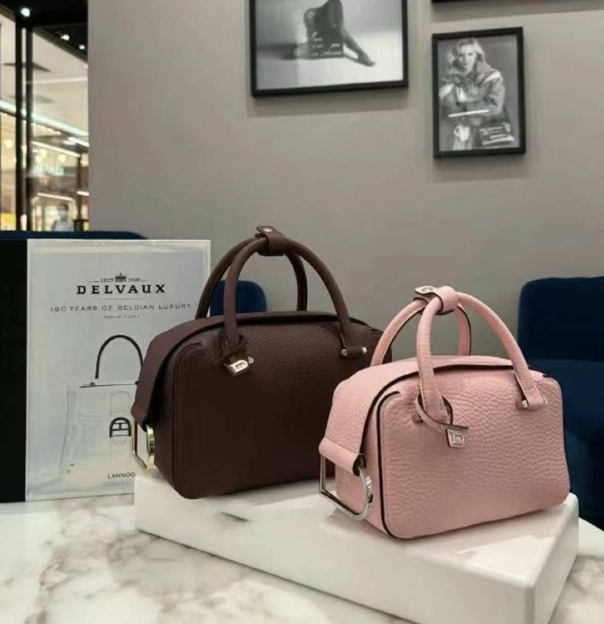 Delvaux Nano cool box bloom -M