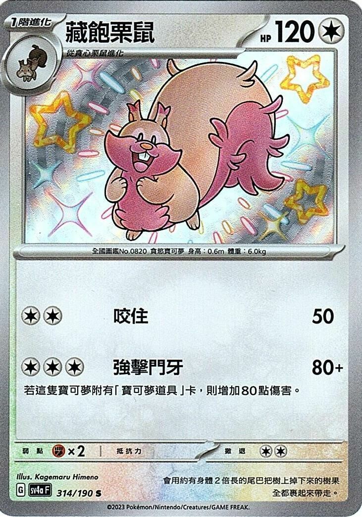 SV4a 314/190 藏飽栗鼠