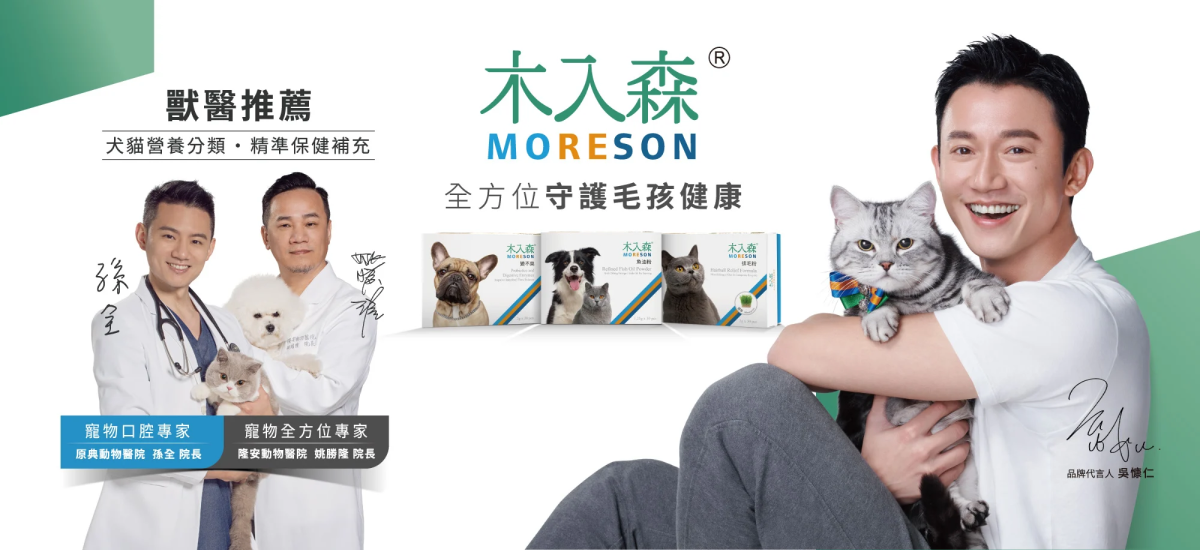 松本迪迪｜木入森Moreson