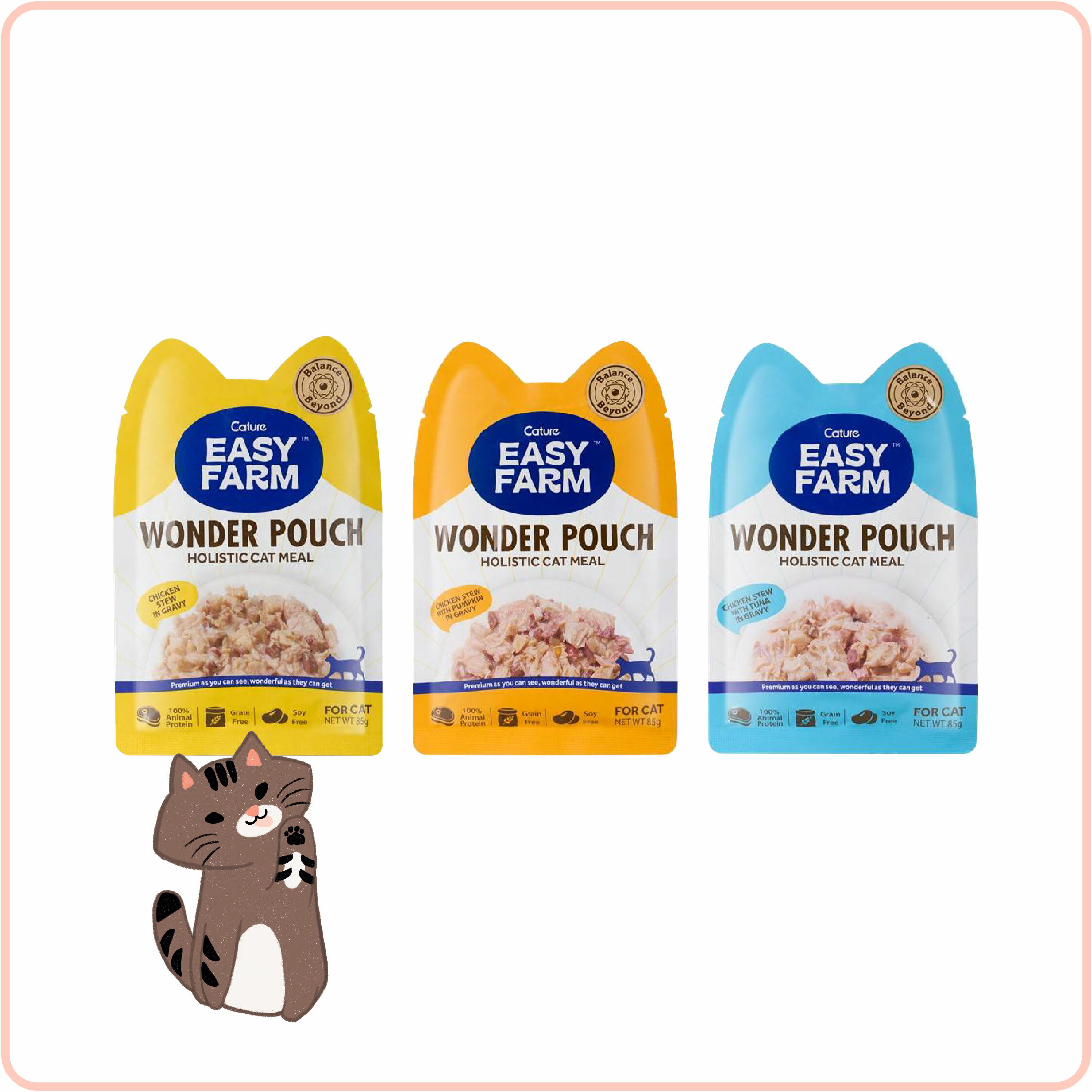 CATURE Easy Farm Wonder Pouch Holistic Cat Meal