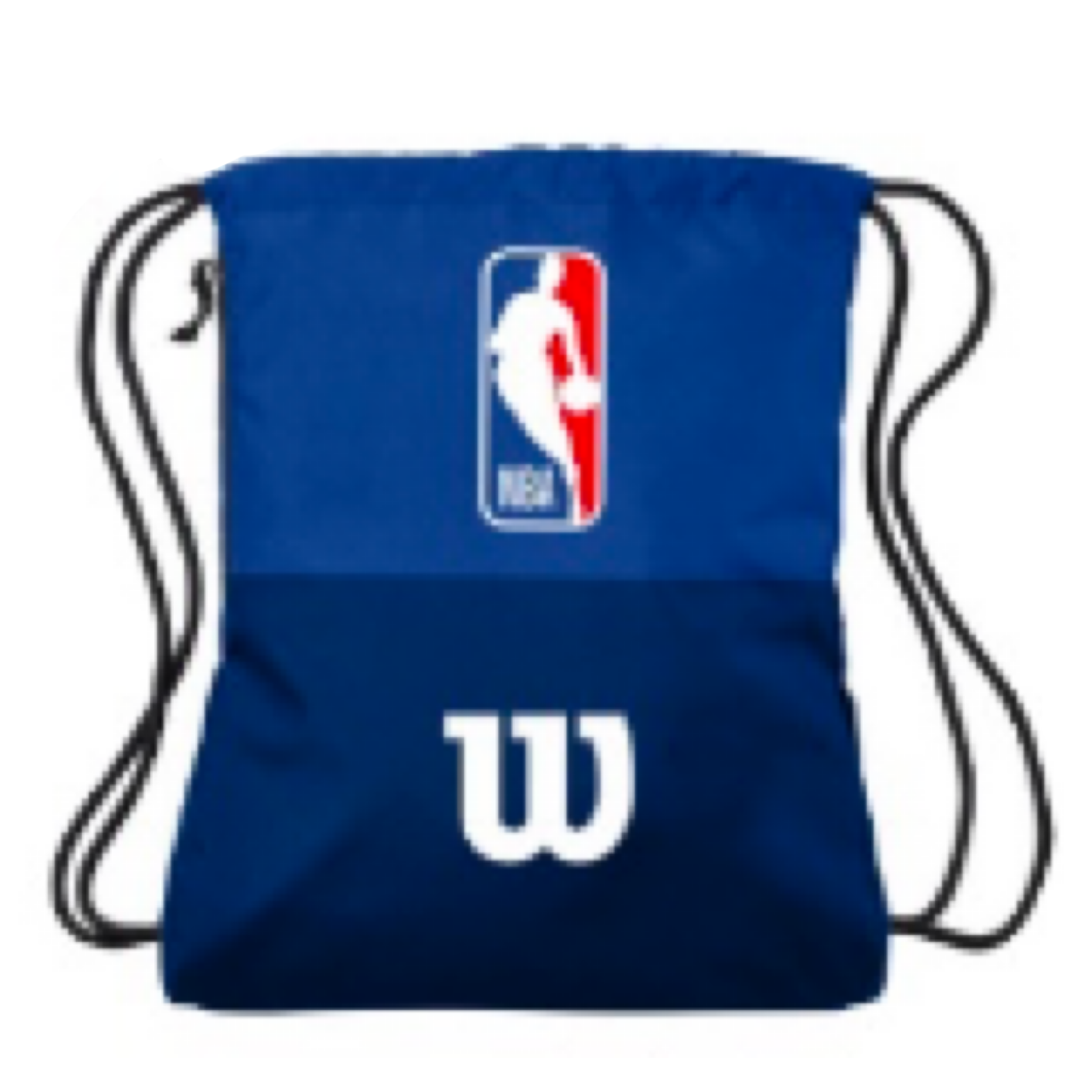 【💥籃球】Wilson NBA Forge Basketball Bag 籃球袋 籃球 Basketball