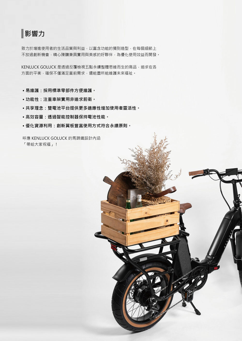 GOLUCK 摺疊電動輔助自行車