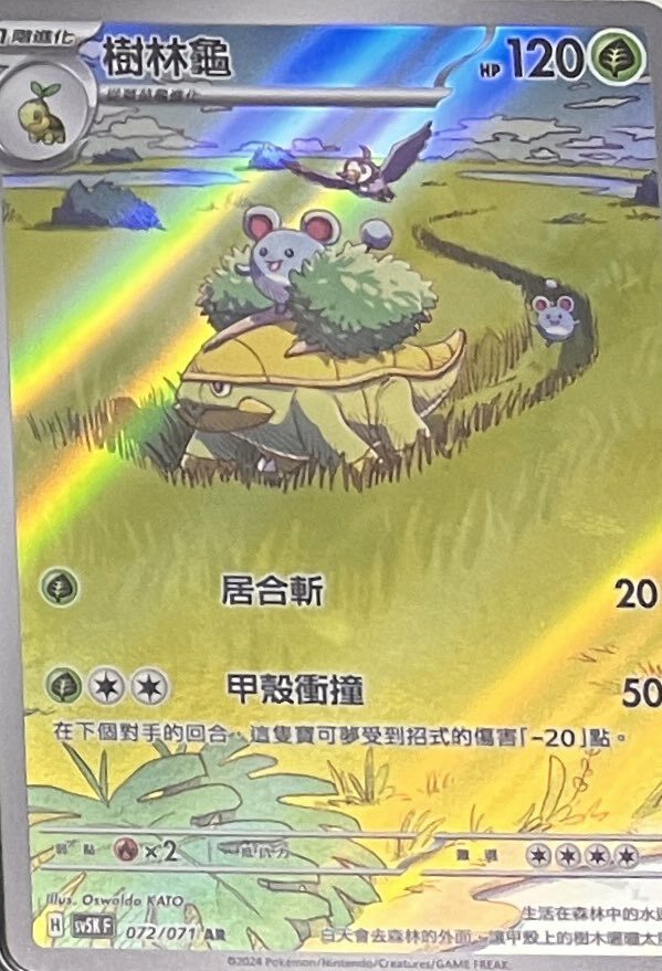 SV5K 072/071 樹林龜