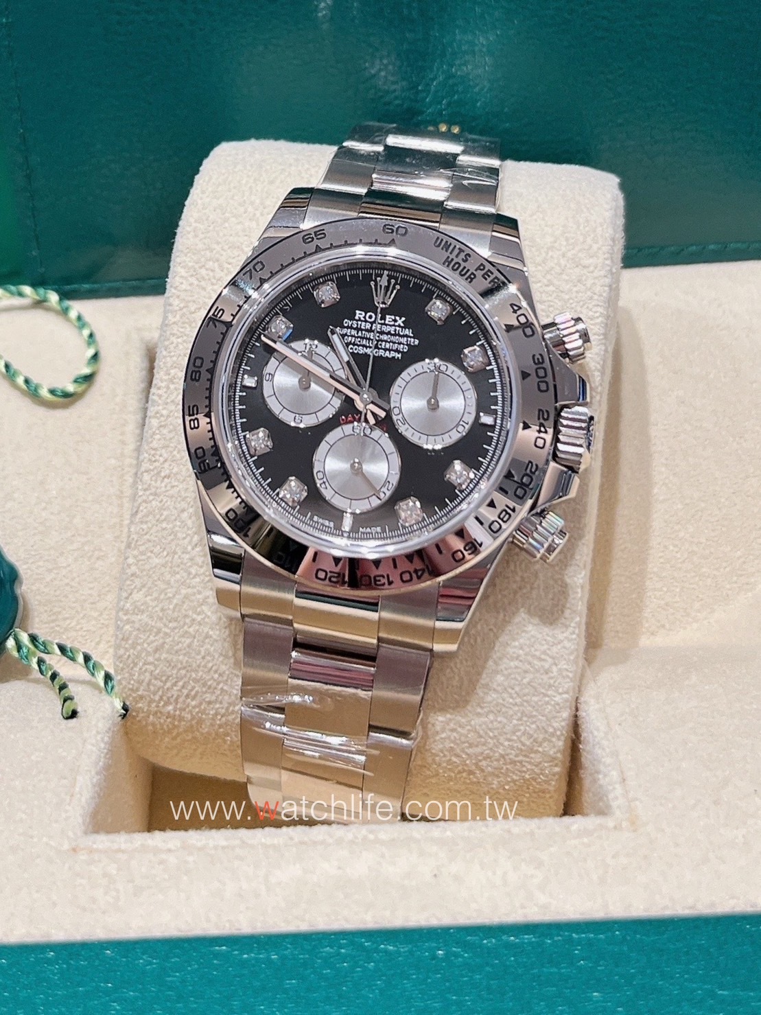 Rolex daytona 126509G 白金八鑽