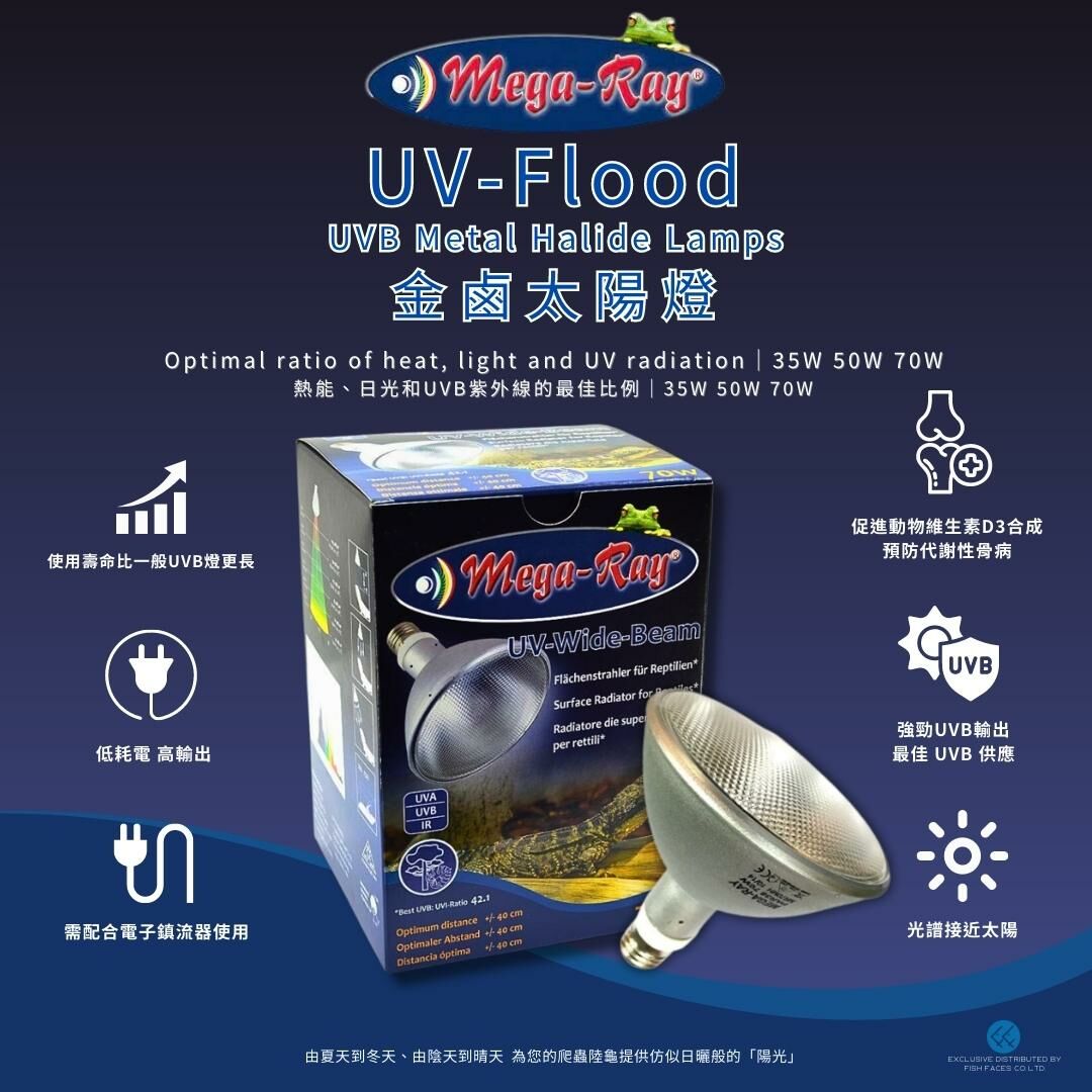 Mega Ray UV-Flood 金鹵太陽燈 35W~70W