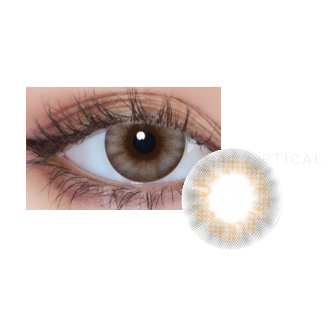 Visual Gray -Kazzue Color Toric (Quarterly)