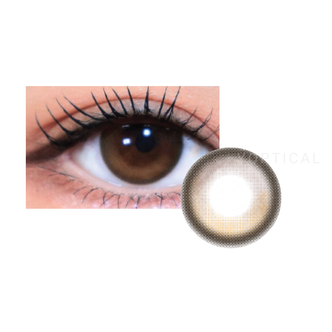 Contour Brown - Kazzue Color Toric (Quarterly)