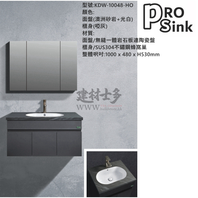 PRO Sink 1000 SERIES KDW-10048-HO/BO不鏽鋼烤漆掛牆盤櫃組合(二色)