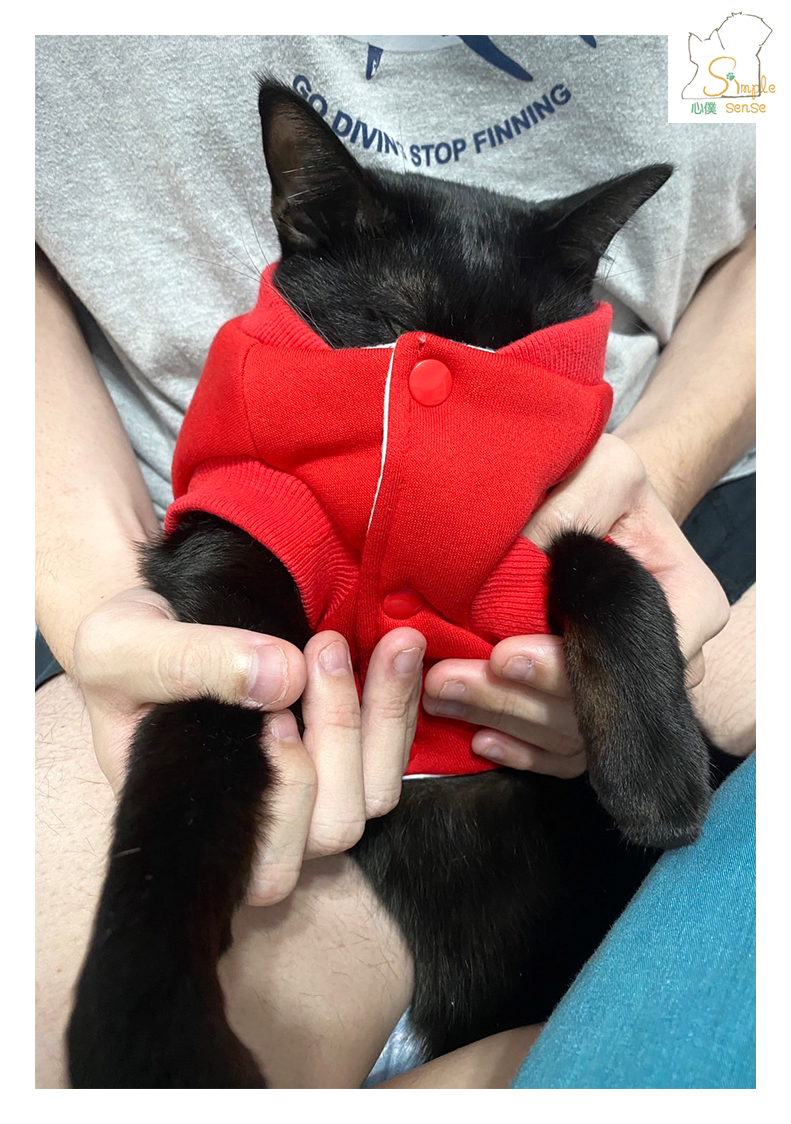 😺過年穿新衣 | 心僕 Simple Sense｜愛他，就給他最鮮的