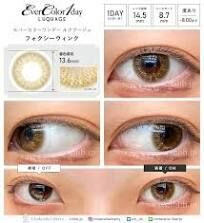 Ever Color 1day LUQUAGE Day10P Foxy Wink