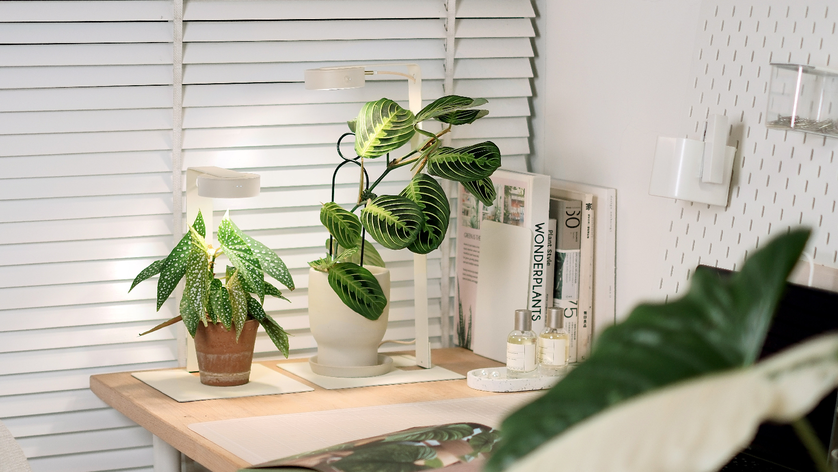 MIST O⁺ 植霧光 - 智慧隨吸植物培育燈具