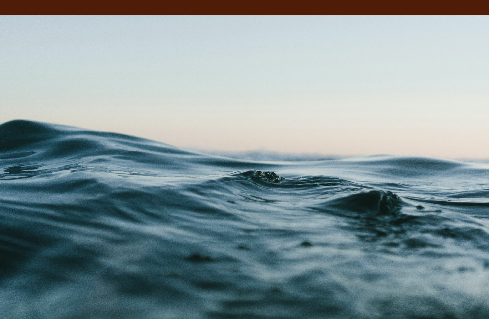 Rill® 保加利亞玫瑰抗老保濕身體乳液