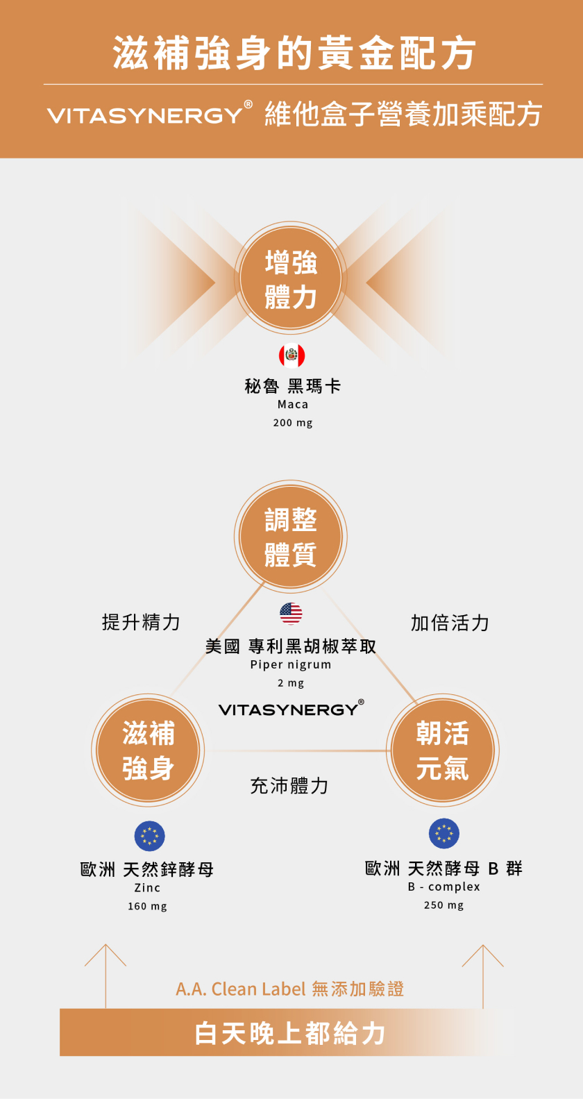 歐洲天然酵母維生素B群+2000%頂級黑瑪卡+鋅酵母 VITABOX®【威猛專科】