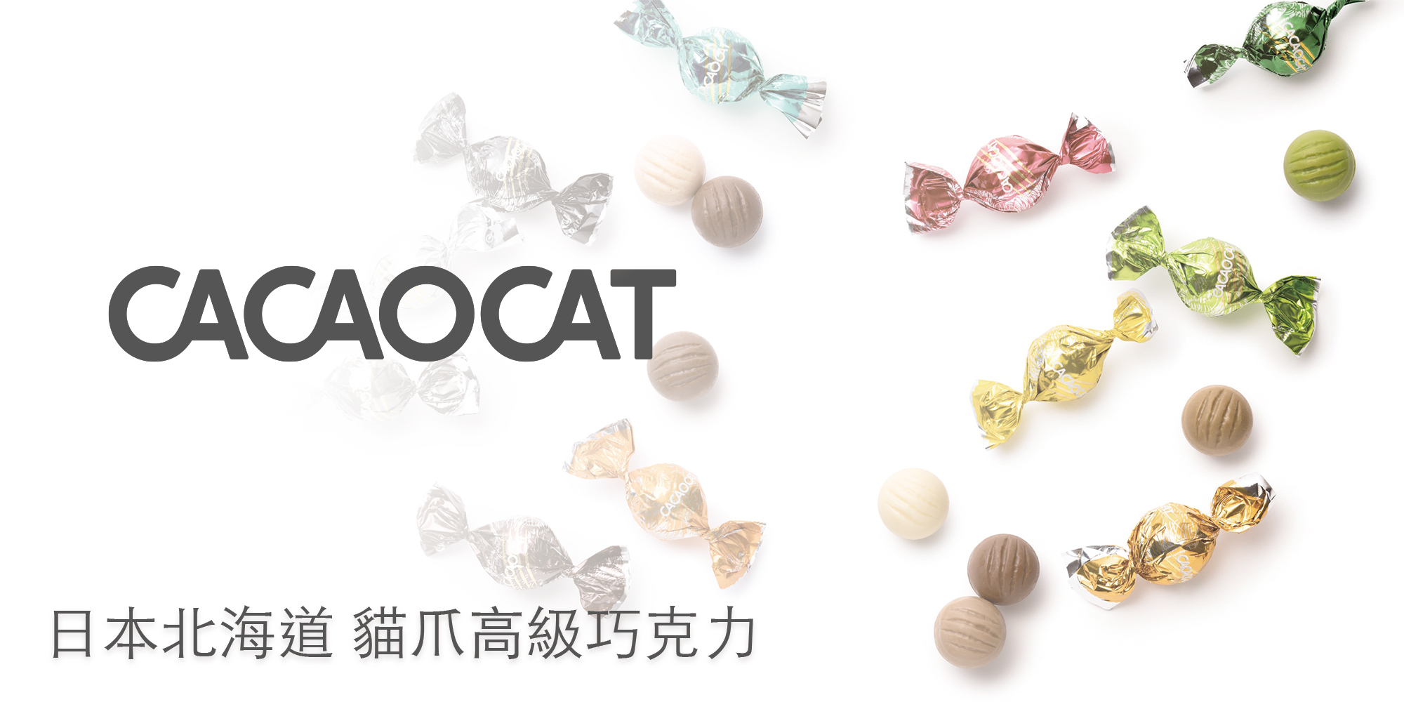 CACAOCAT 貓咪巧克力