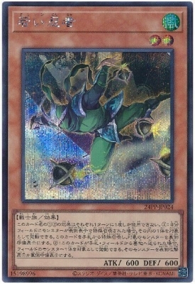 24PP-JP024(SER/SER-SRV) 稚綠忍者