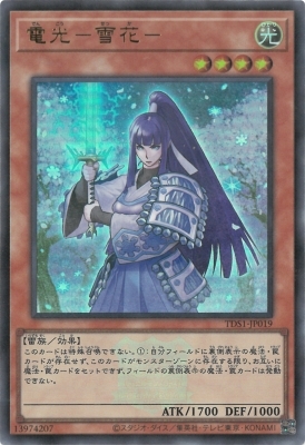 TDS1-JP019 電光－雪花－