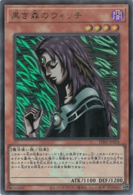 TDS1-JP016 黑森林的魔女