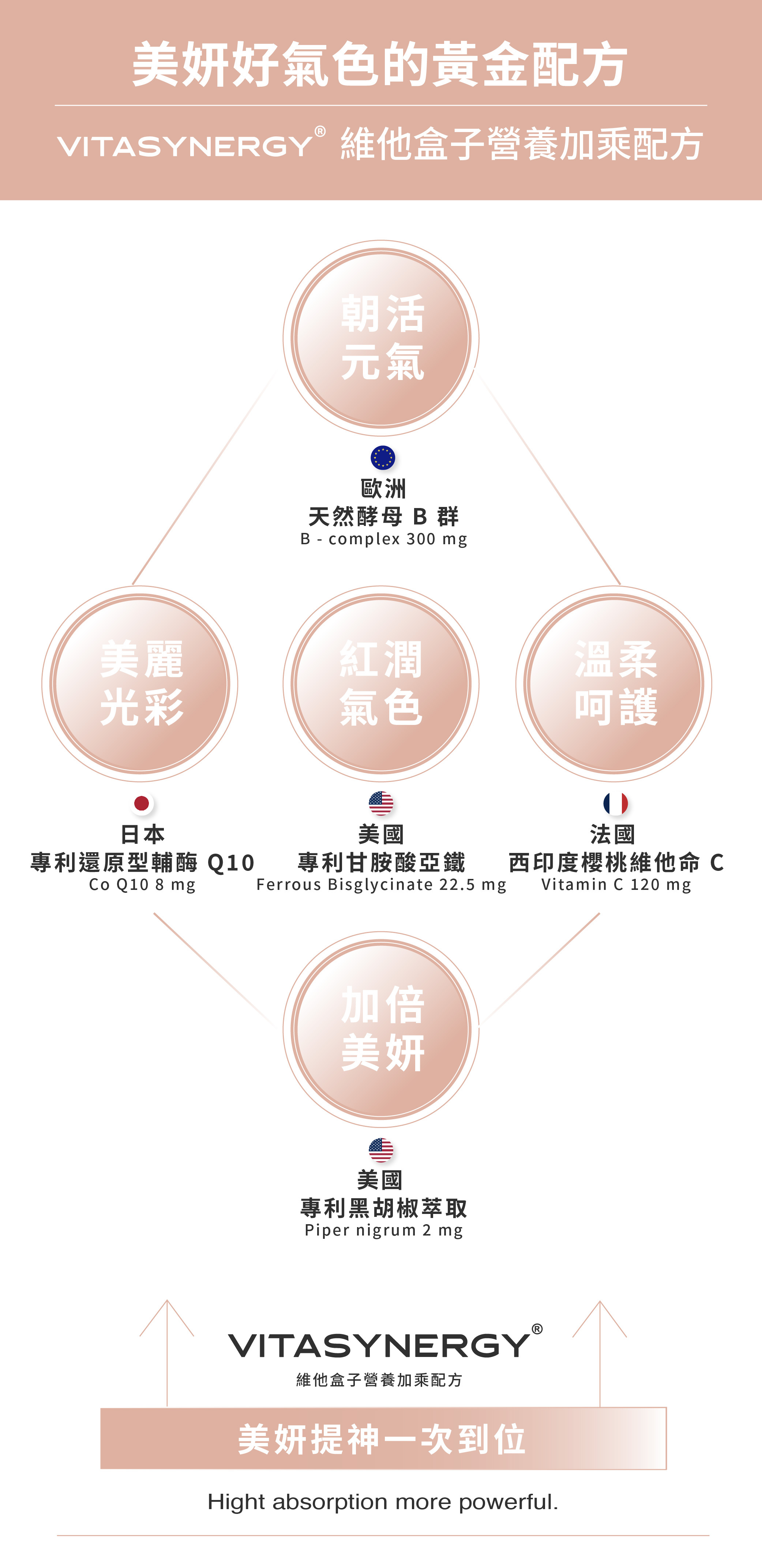 女性天然酵母維生素 B 群+Q10+專利鐵 - VITABOX®【美妍專科】