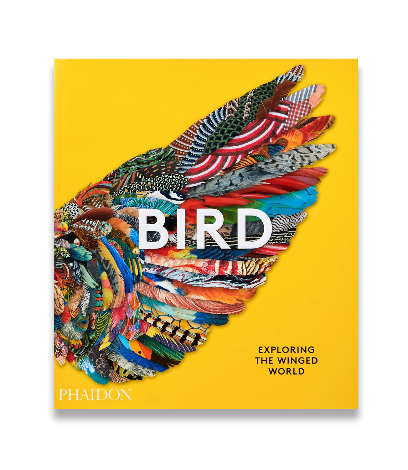 桑格設計書店 《Bird: Exploring the Winged World》