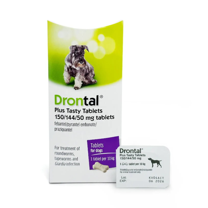 Bayer - Drontal Plus 犬用杜蟲