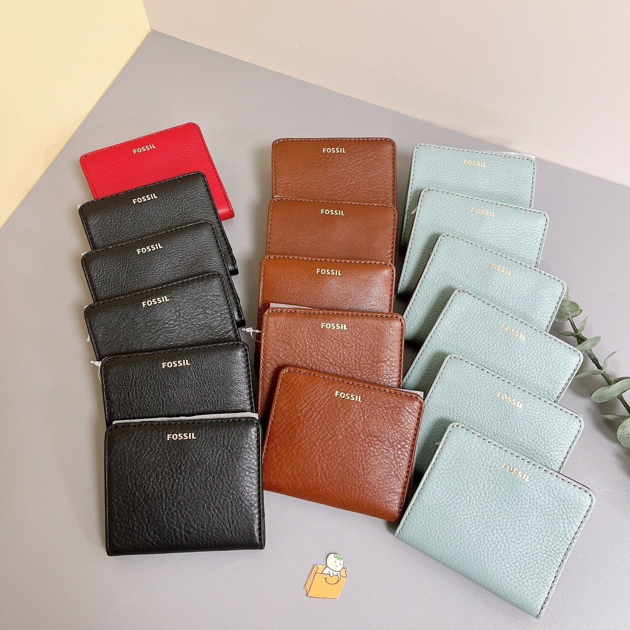 【現貨】Fossil Madison 真皮 短夾 拉鍊零錢 女生皮夾 女夾