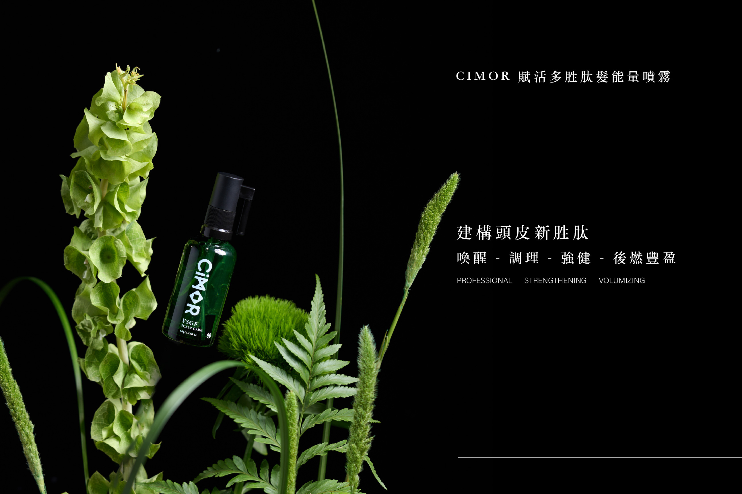 Cimor全新智能保養概念