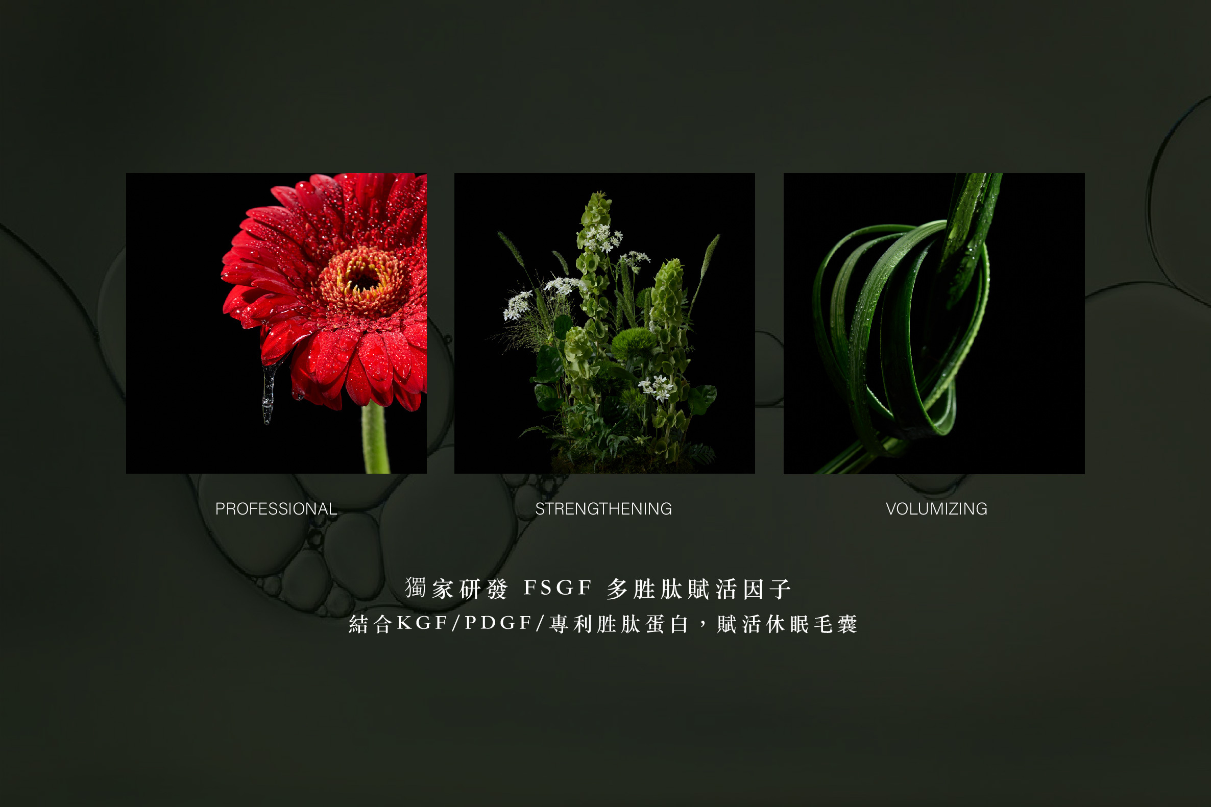 Cimor全新智能保養概念