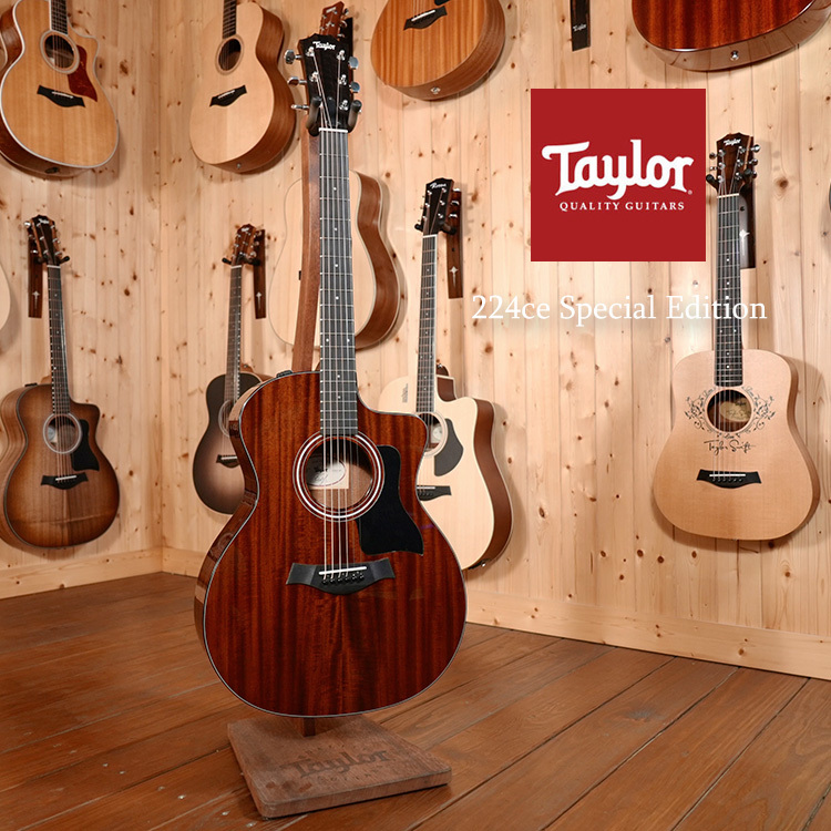 Taylor 224ce Special Edition 特別版 桃花心木 面單 ES-2拾音器 贈原廠袋