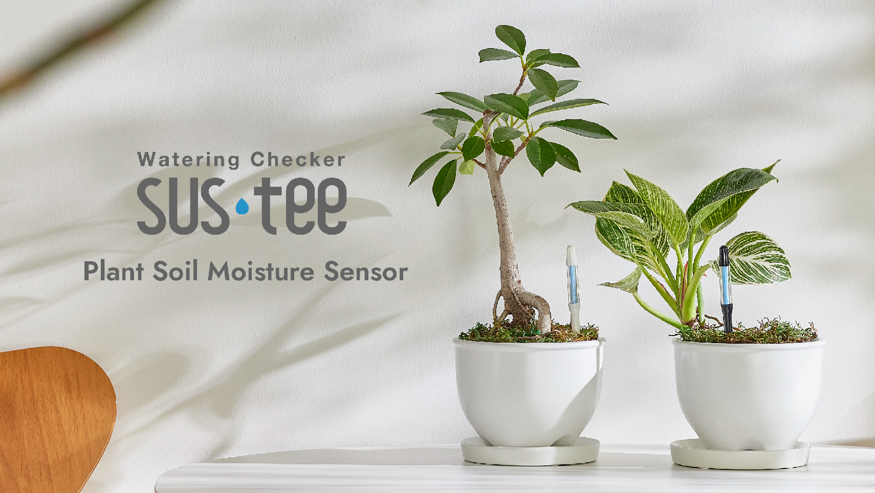 日本原裝「SUSTEE土壤濕度計」 有效幫助辨別正確澆水時機