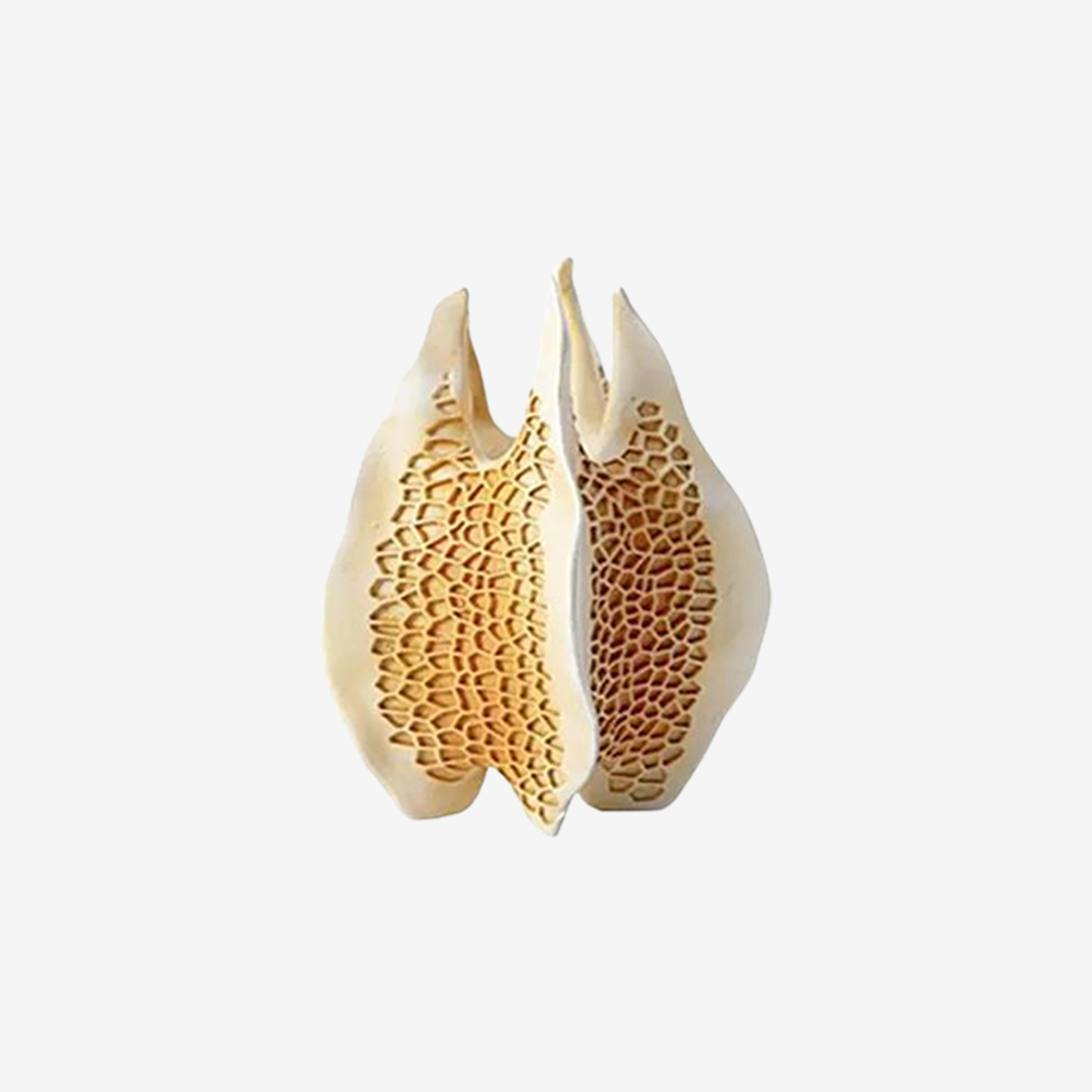 Zinan B裝飾品