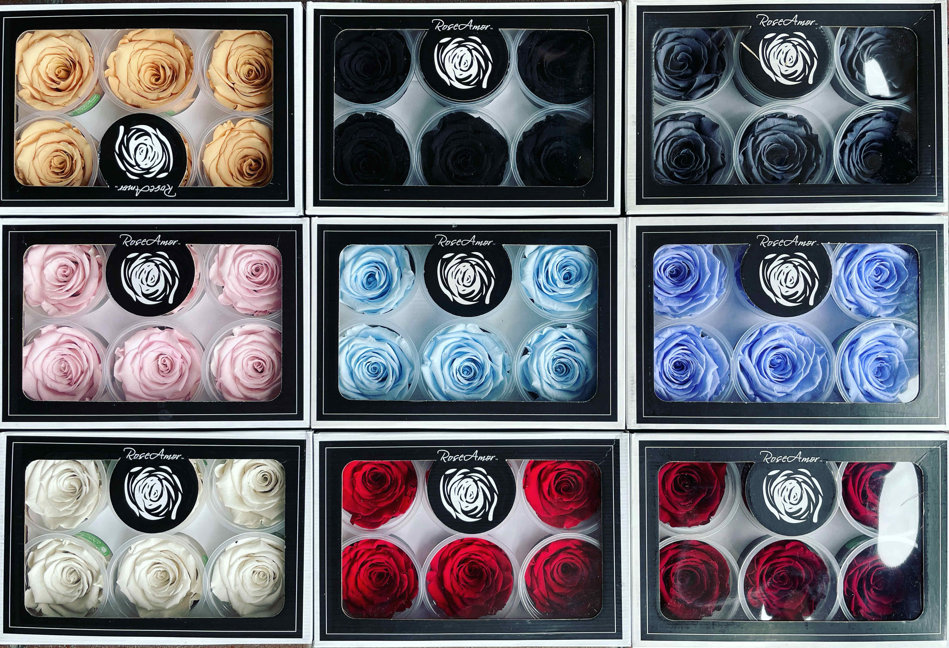 Rose Amor (6輪單色)