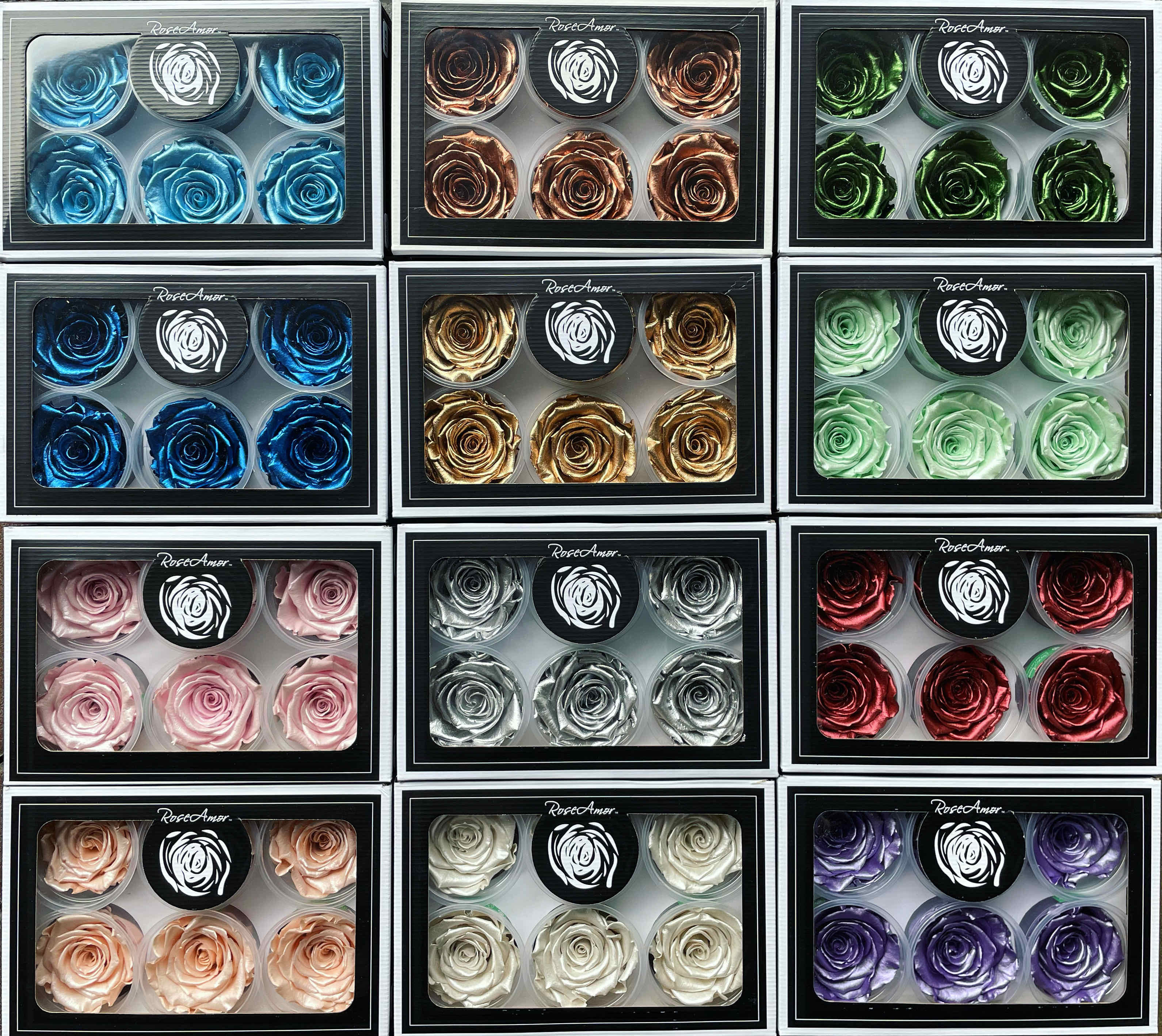 Rose Amor (6輪珠光色)