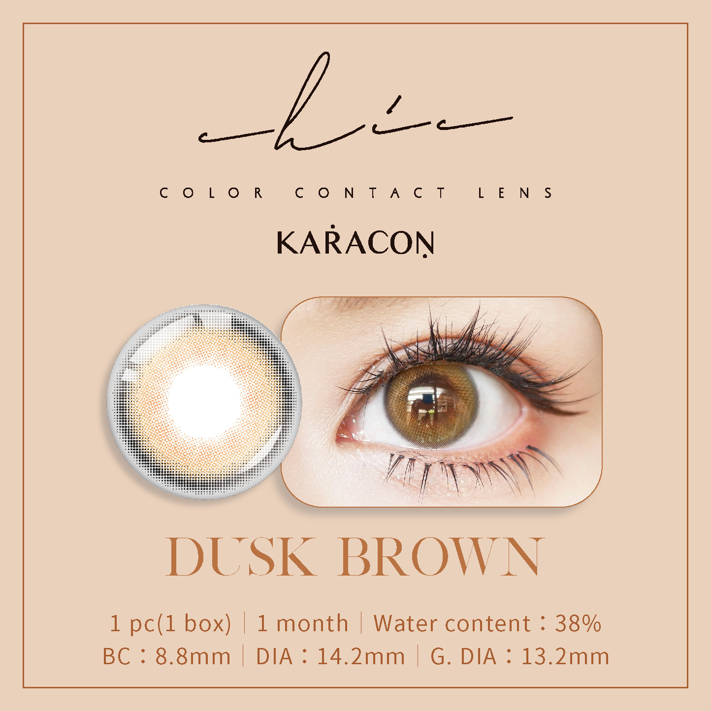 KARACON CHIC CHIC #209 落日棕 Dusk Brown (月/Monthly)