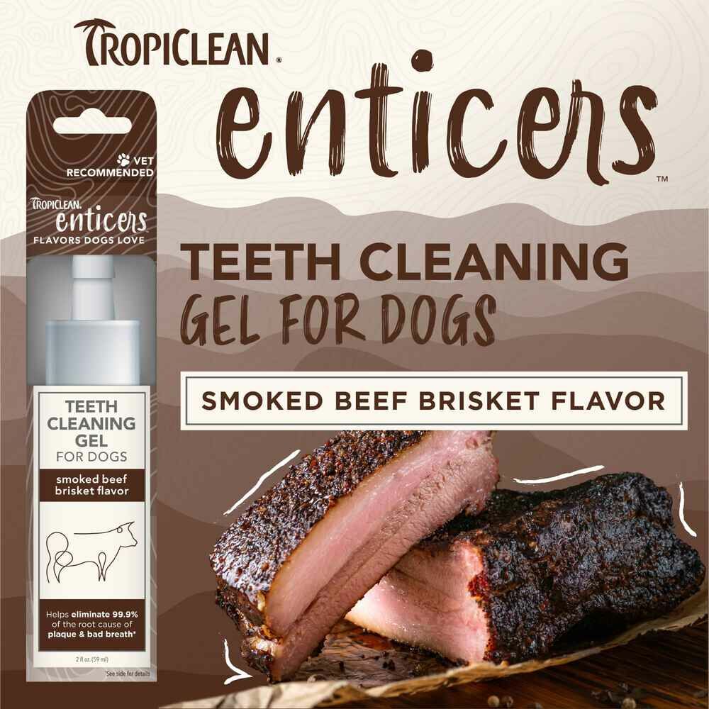 TropiClean Enticers Dog Teeth Cleaning Treat Gel | Hick