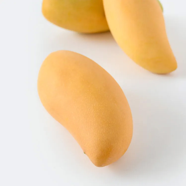 萬巒朱家金煌芒果 - 產銷履歷認證