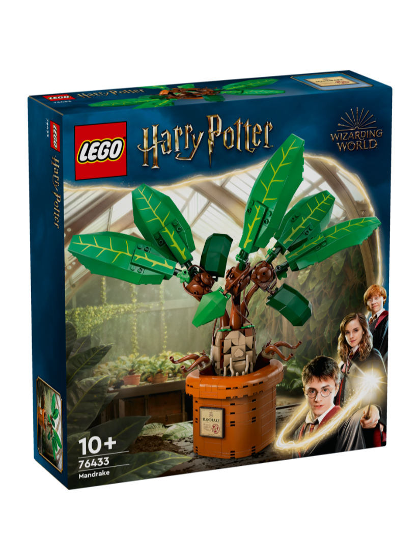 BRICK PAPA / LEGO 76433 魔蘋果