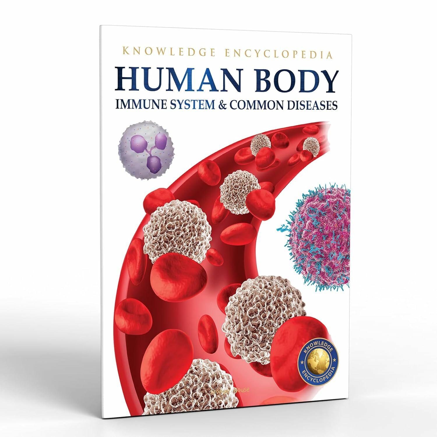 Human Body: Immune System And Common Diseases (Knowledg