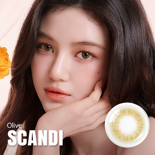 O-LENS Scandi 1 Day Olive｜每盒10片 (日拋)