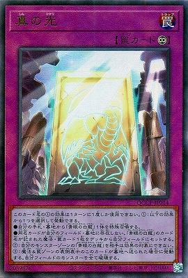 QCCP-JP014(UR/UTR/SER/QCSER) 真正之光