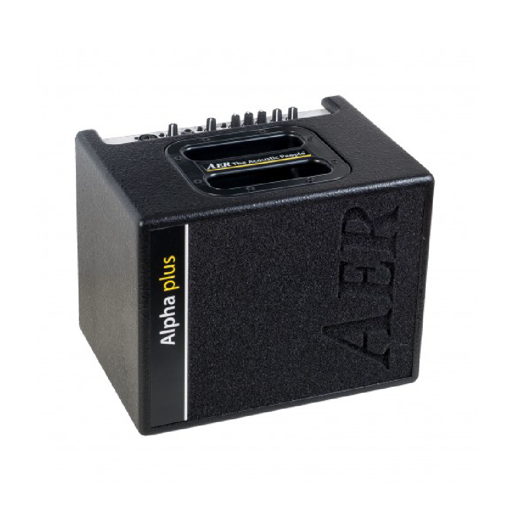 AER / Alpha Plus 50瓦德國空心樂器專業木吉他音箱