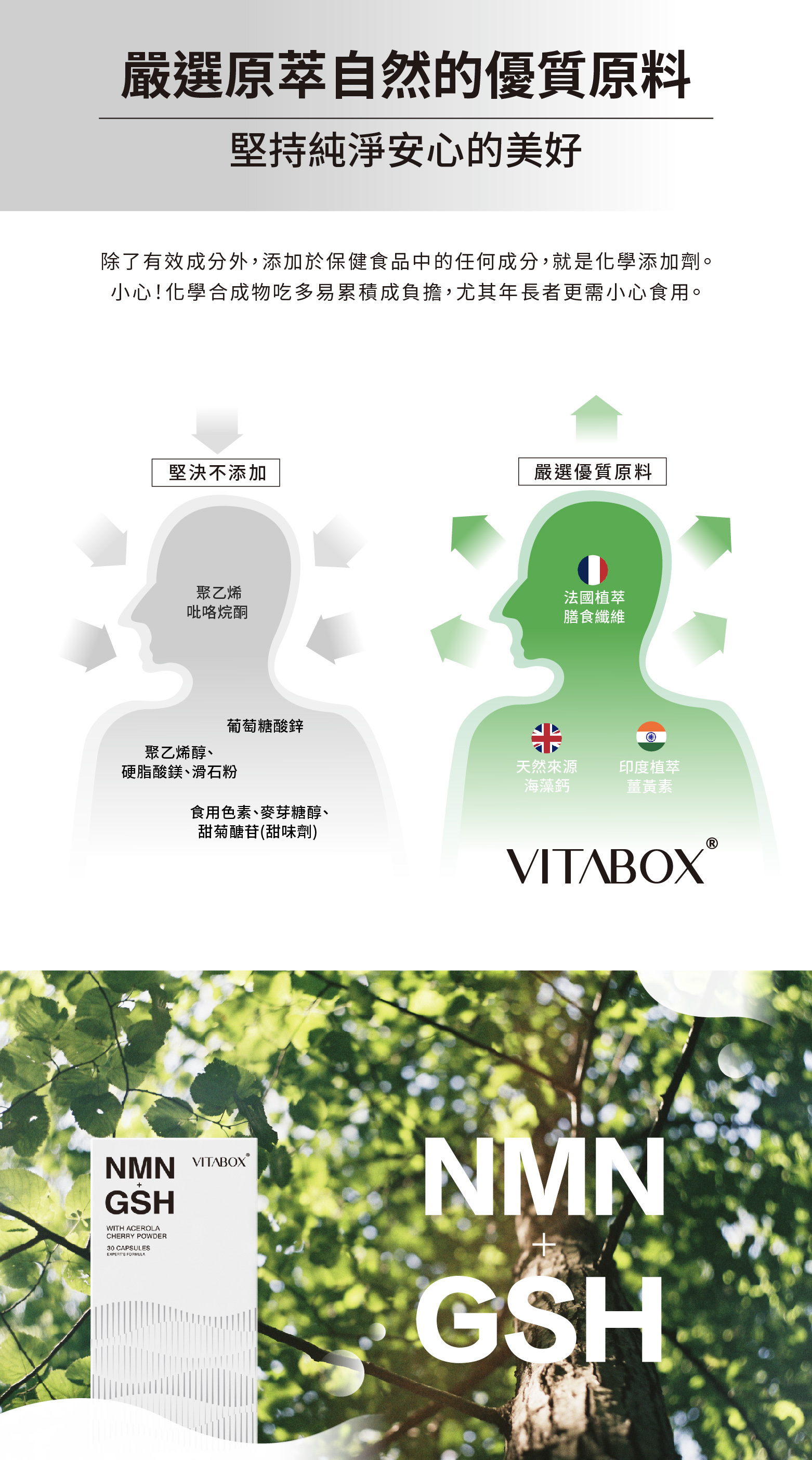 【青春專科】VITABOX® 專利天然酵母NMN+日本專利谷胱甘肽+西印度櫻桃C