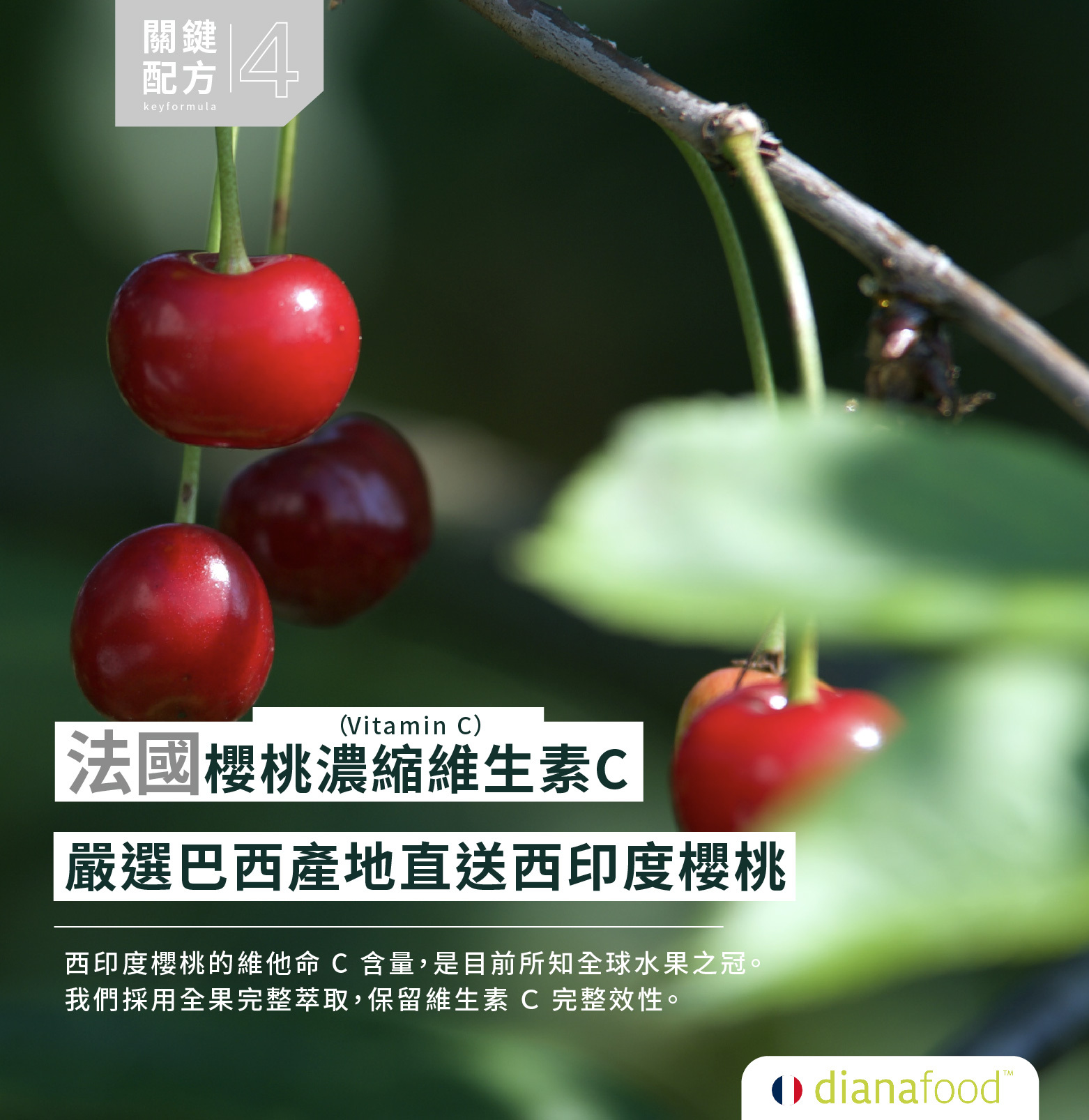 【青春專科】VITABOX® 專利天然酵母NMN+日本專利谷胱甘肽+西印度櫻桃C