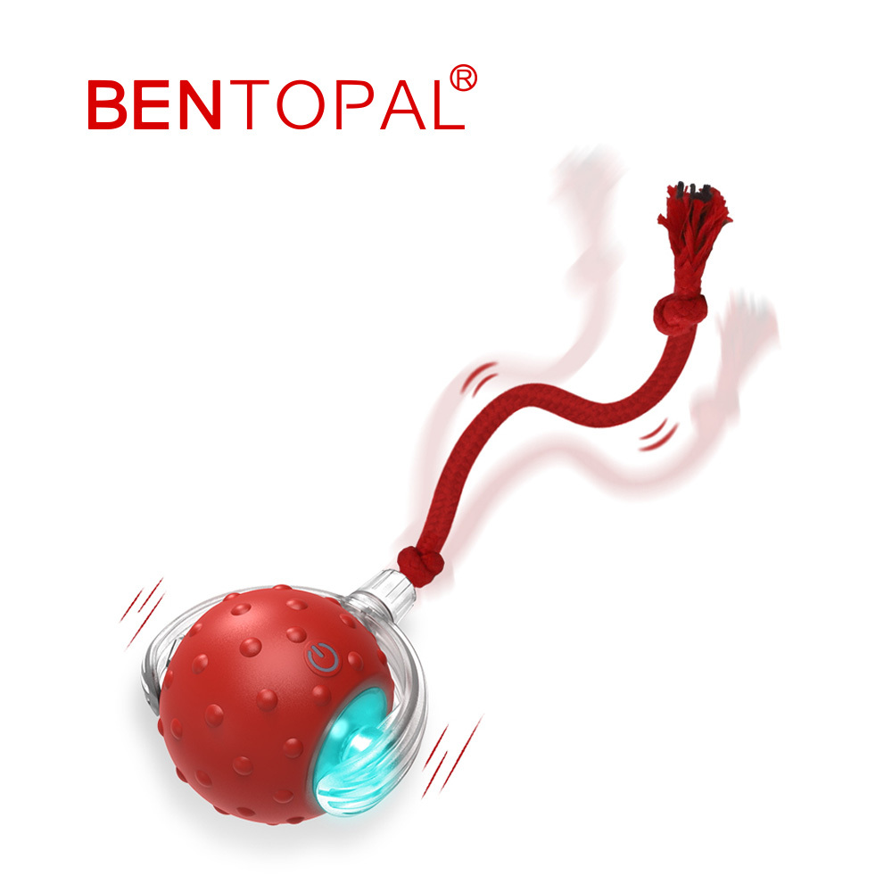 BENTOPAL 邦特普｜LED智能逗逗球