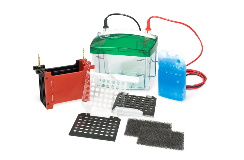 BIO-RAD Mini Trans-Blot Electrophoretic Transfer Cel...