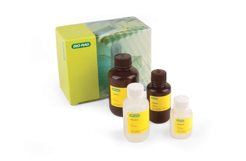 BIO-RAD TGX FastCast Acrylamide Kit, TGX快速凝膠試劑組